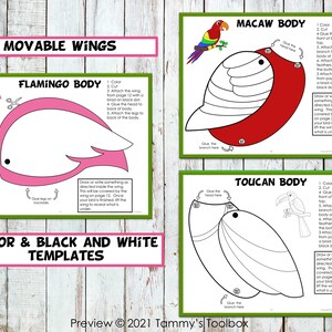 Tropical Birds All About Me Craft and Back to School Bulletin Board Kit ...