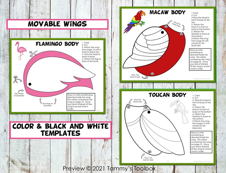 Tropical Birds All About Me Craft and Back to School Bulletin Board Kit ...