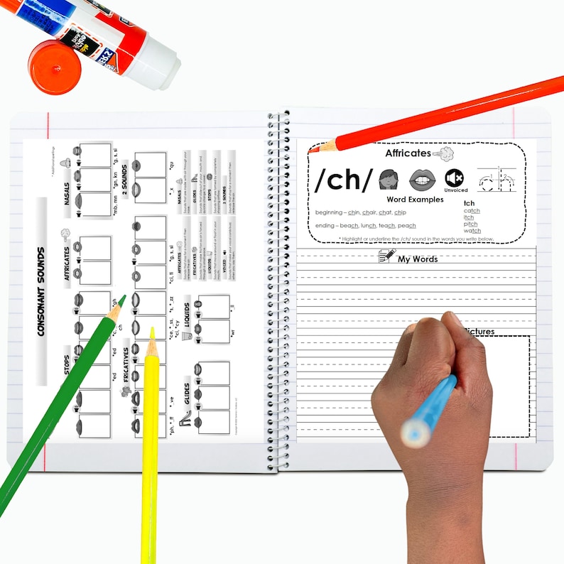 Personal Sound Wall Folder and Workbook Aligned With the Science of ...