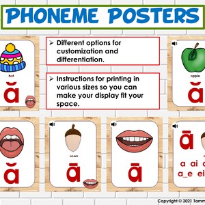 Sound Wall With Mouth Pictures in Tropical Classroom Decor Theme ...