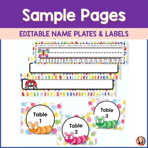 Butterfly Classroom Decor Set, Butterflies and Bugs Theme, Classroom ...
