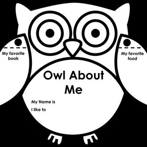 Owl Theme Bulletin Board, Owl Craft Set, Classroom Decor, All About Me ...