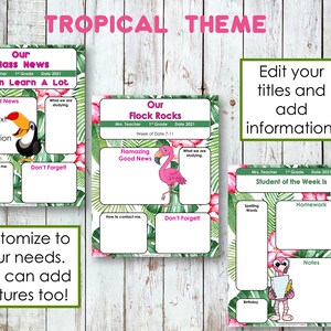 Tropical Classroom Newsletter Templates, Printable and Editable Class ...