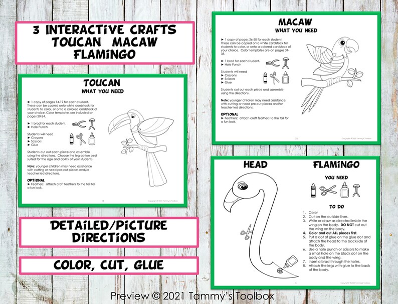 Tropical Birds All About Me Craft and Back to School Bulletin Board Kit ...