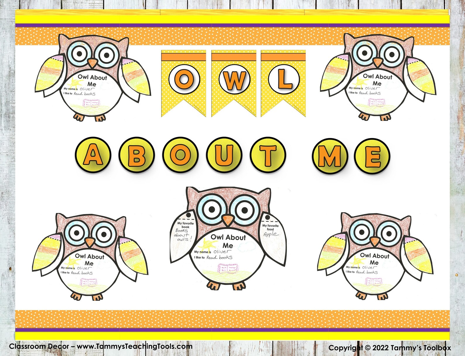 Owl Theme Bulletin Board, Owl Craft Set, Classroom Decor, All About Me ...