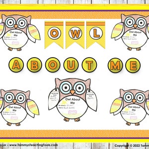 Owl Theme Bulletin Board, Owl Craft Set, Classroom Decor, All About Me ...