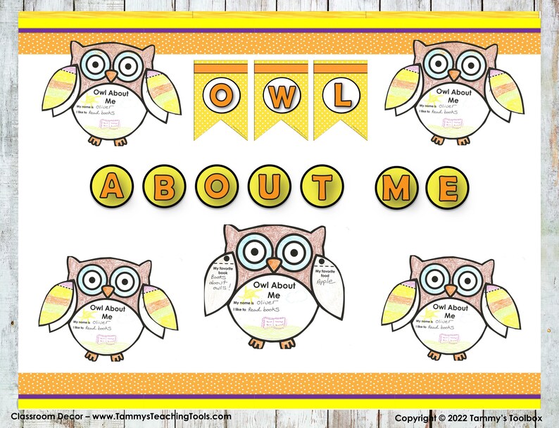 Owl Theme Bulletin Board, Owl Craft Set, Classroom Decor, All About Me ...
