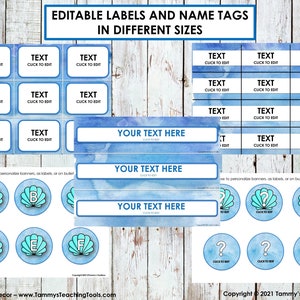 Ocean Under the Sea Theme Classroom Decor, Sea Life Bulletin Board ...