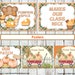Pumpkin Spice Fall Bulletin Board Kit With Craft Activities - Etsy