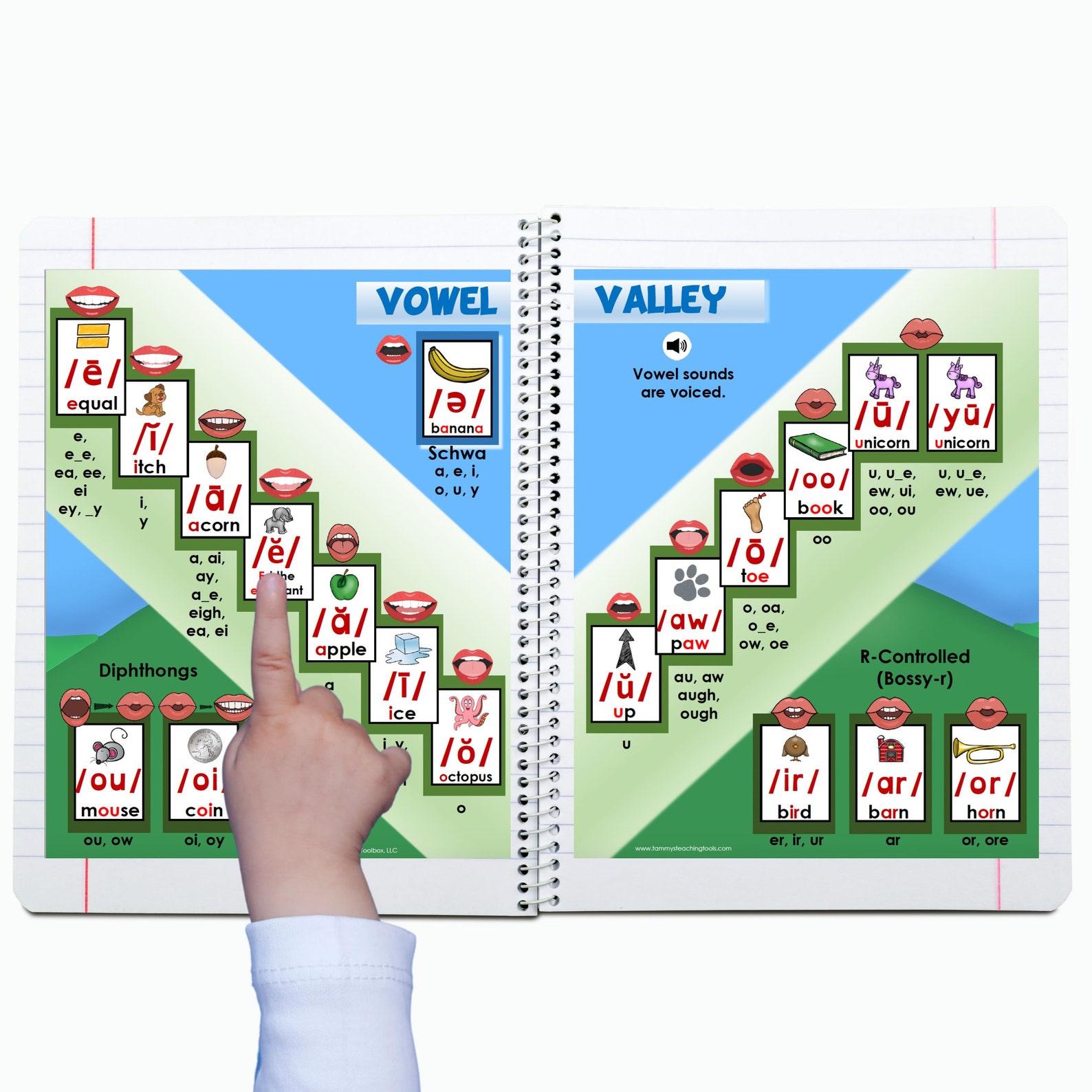 Personal Sound Wall Folder and Workbook Aligned With the Science of ...