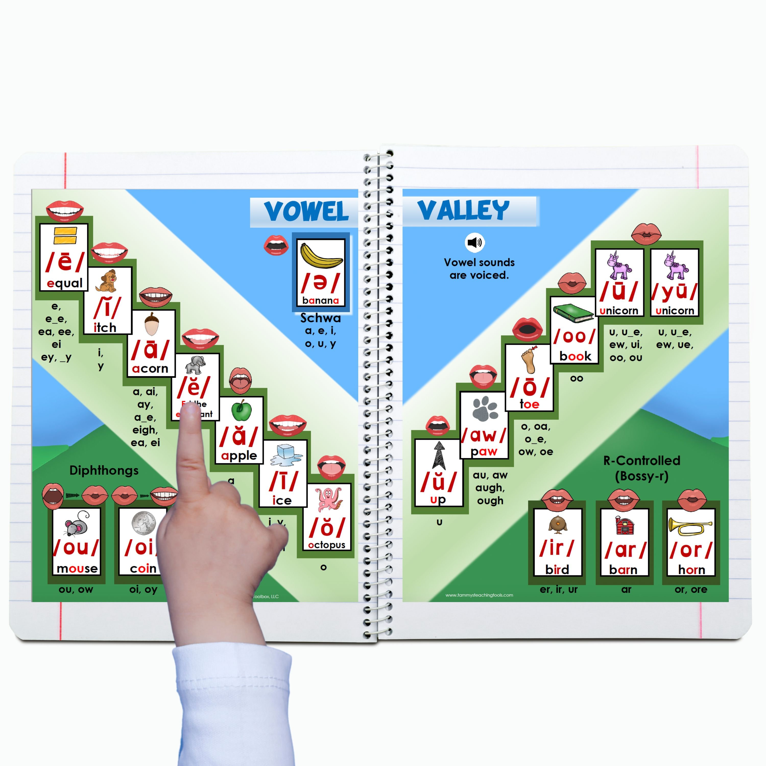 Personal Sound Wall Folder and Workbook Aligned With the Science of ...