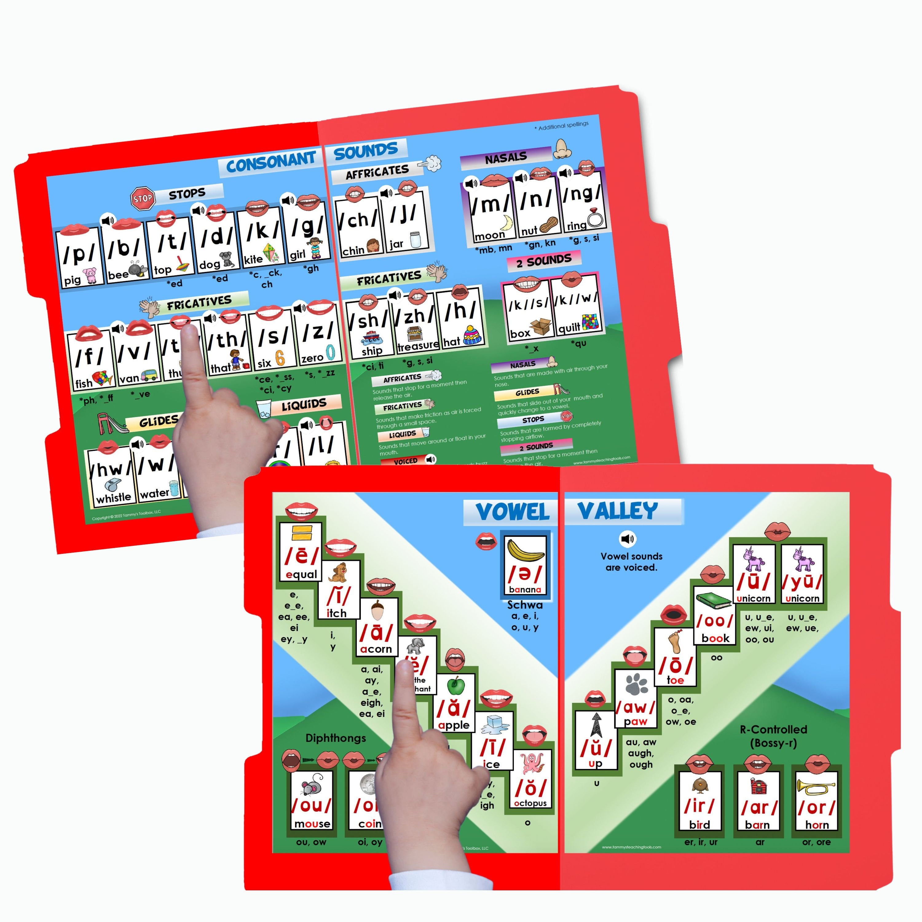 Personal Sound Wall Folder and Workbook Aligned With the Science of ...