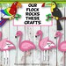 Tropical Birds All About Me Craft and Back to School Bulletin Board Kit ...