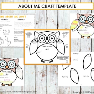 Owl Theme Bulletin Board, Owl Craft Set, Classroom Decor, All About Me ...
