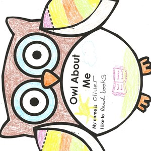 Owl Theme Bulletin Board, Owl Craft Set, Classroom Decor, All About Me ...