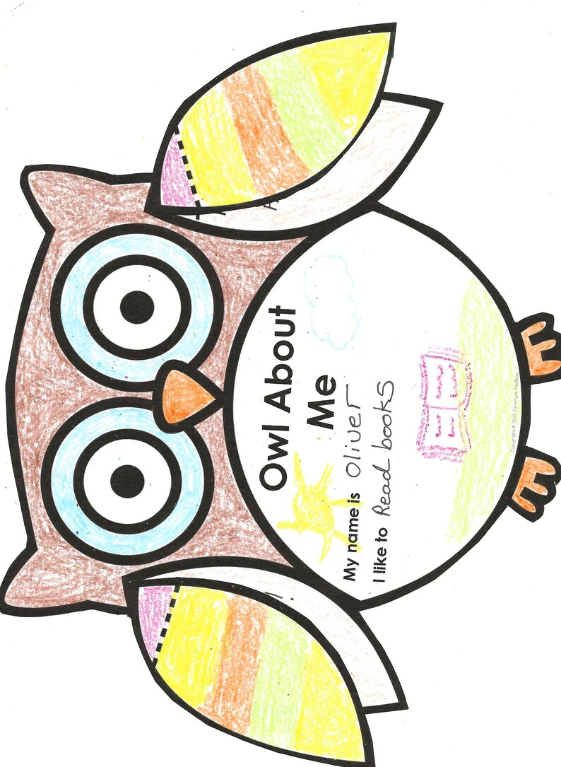 Owl Theme Bulletin Board, Owl Craft Set, Classroom Decor, All About Me ...