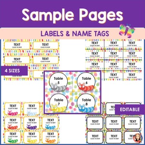 Butterfly Classroom Decor Set, Butterflies and Bugs Theme, Classroom ...