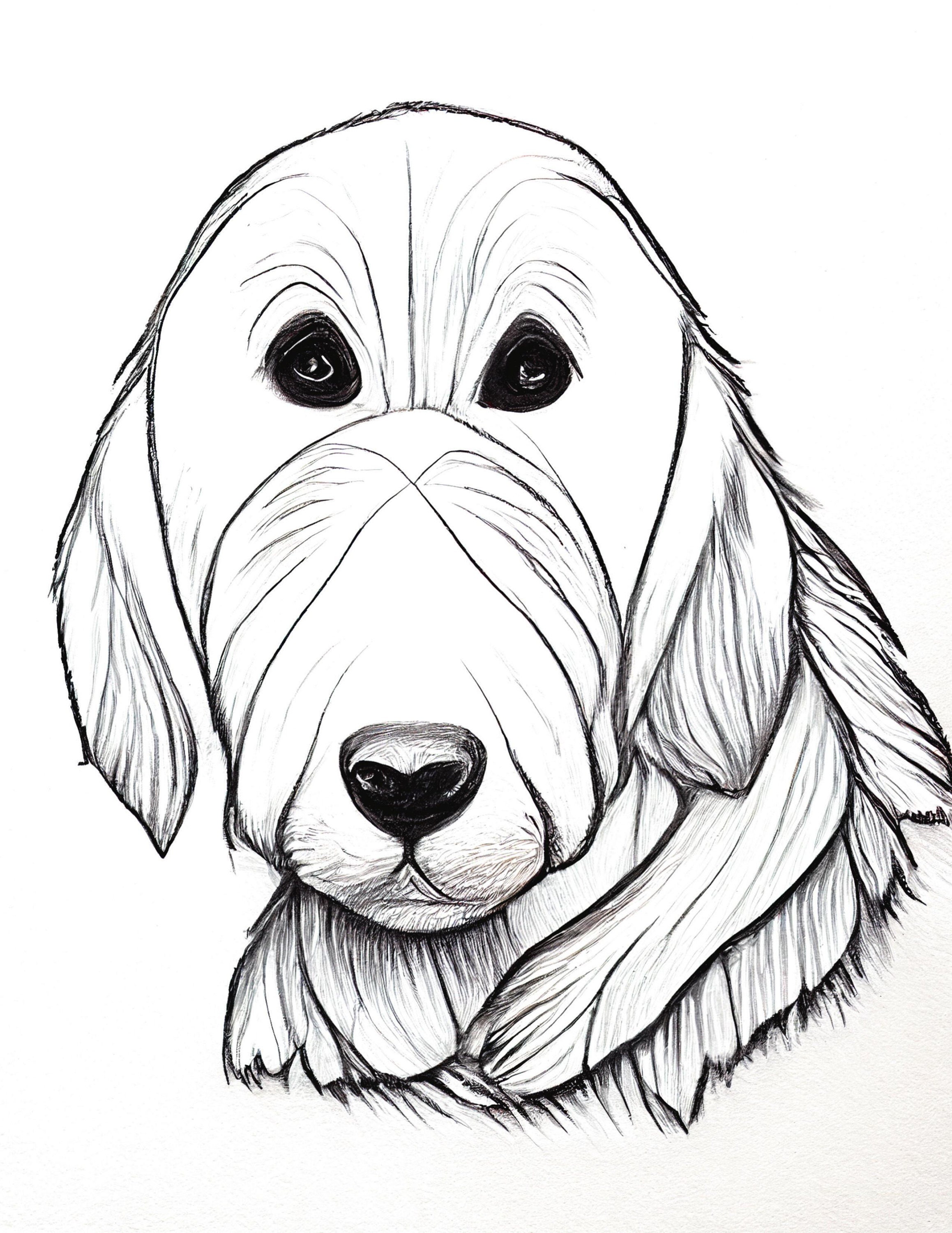 Cute Dogs Colouring Pages - Big Bundle of 10 Images to Print and Colour. Easy Download and Keep ...