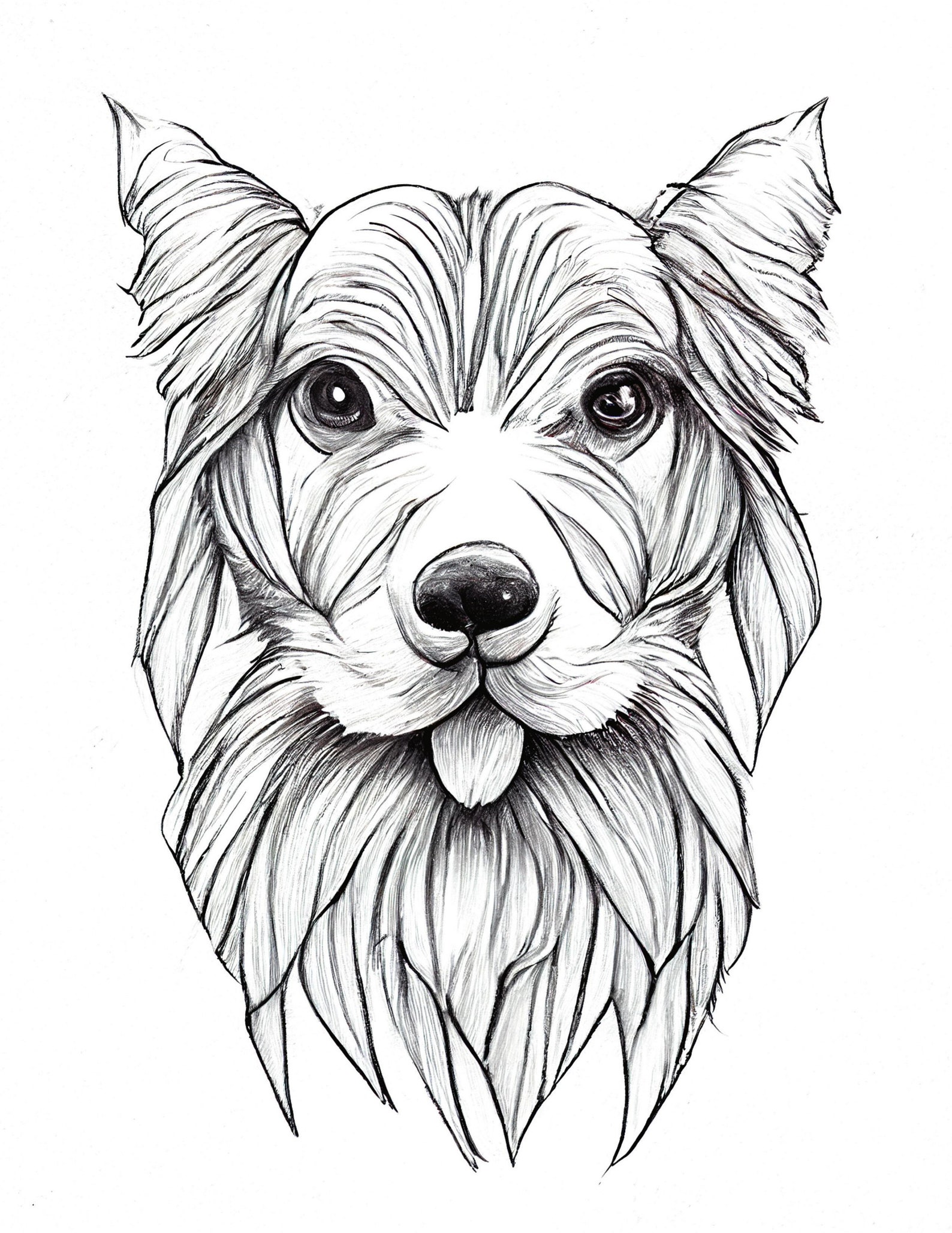 Cute Dogs Colouring Pages - Big Bundle of 10 Images to Print and Colour. Easy Download and Keep ...