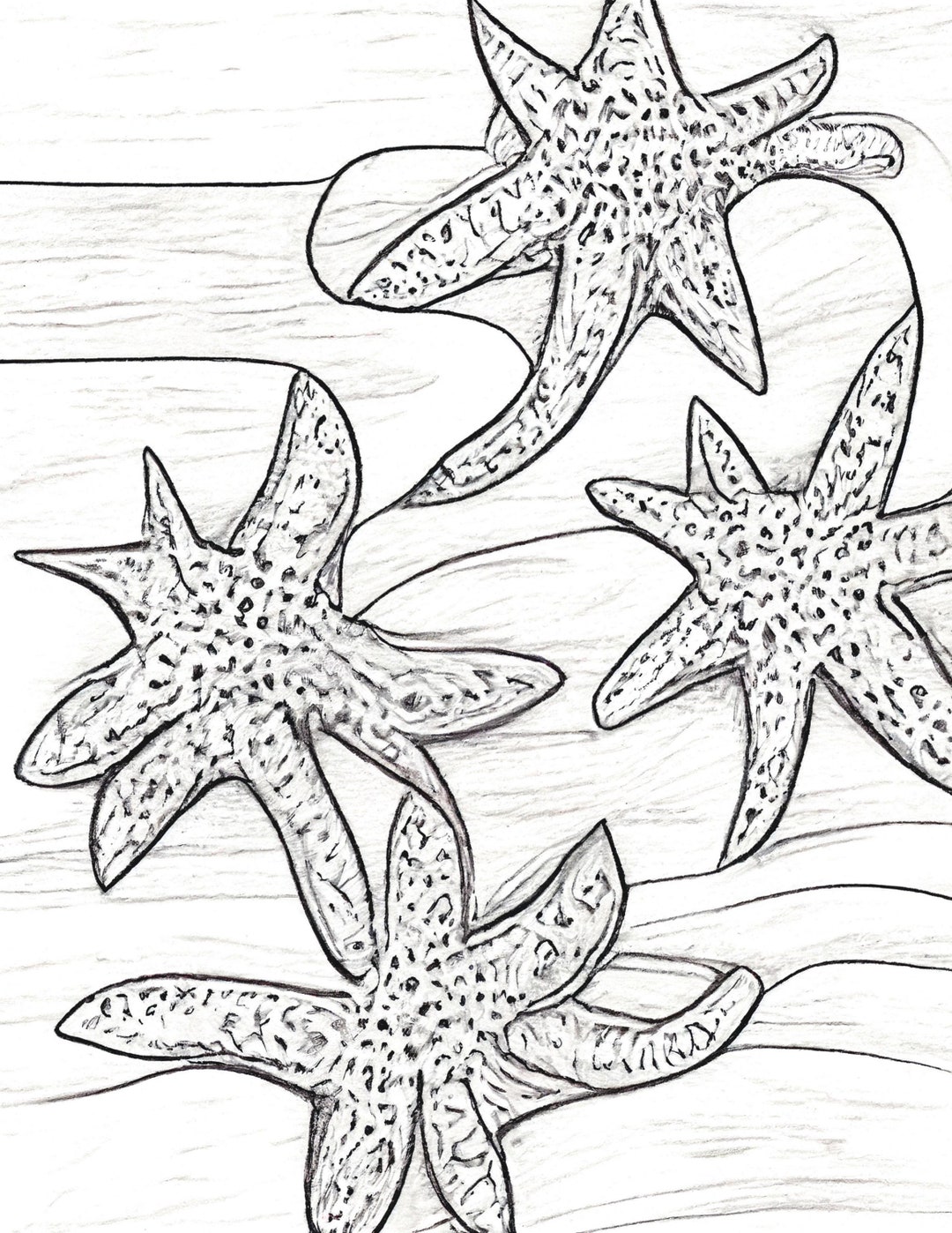 Starfish Colouring Pages - Big Bundle of 10 Images to Print and Colour ...