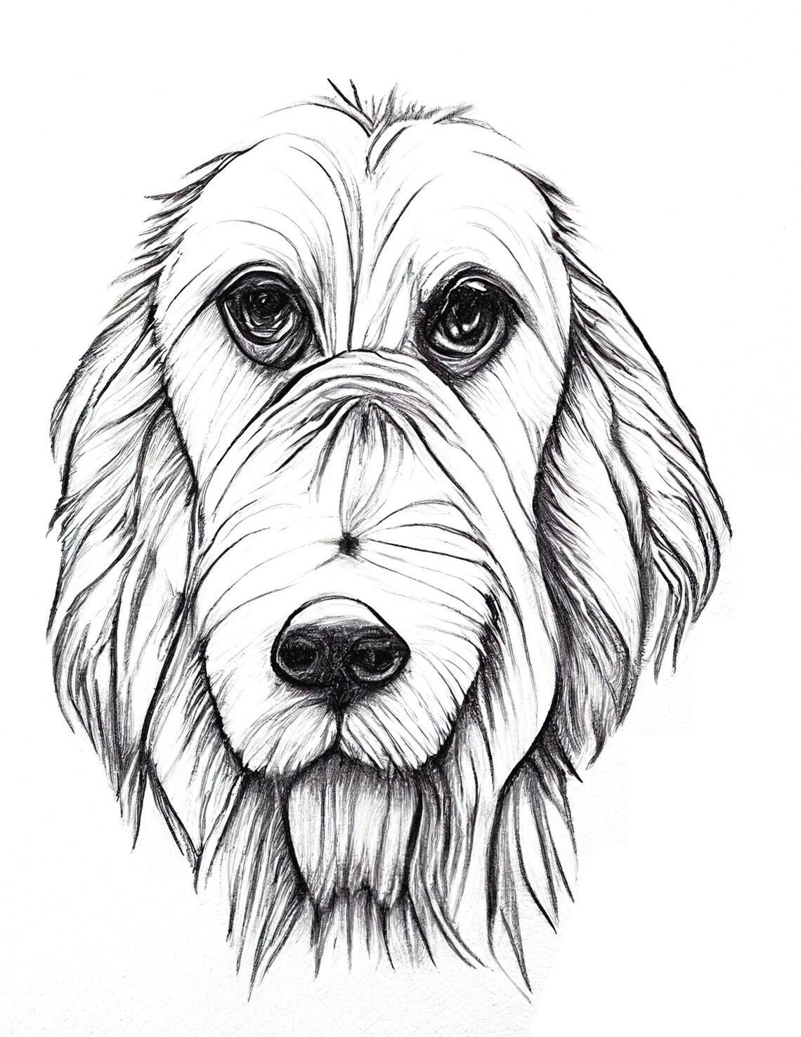 Cute Dogs Colouring Pages - Big Bundle of 10 Images to Print and Colour. Easy Download and Keep ...