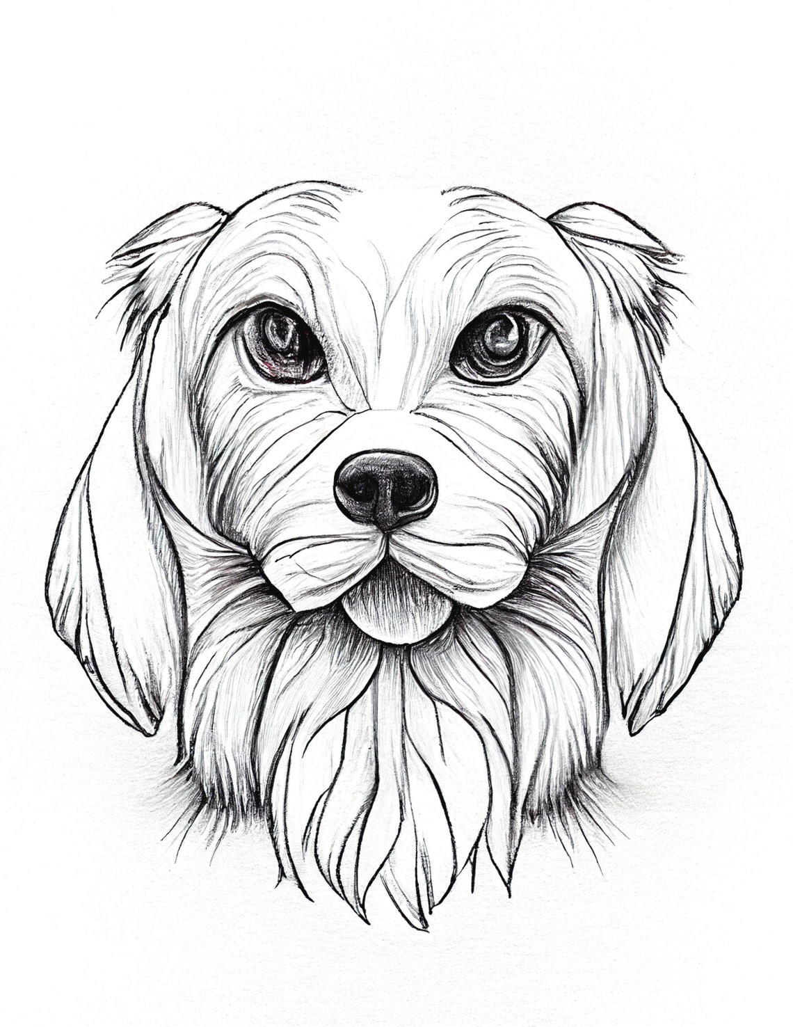Cute Dogs Colouring Pages - Big Bundle of 10 Images to Print and Colour ...