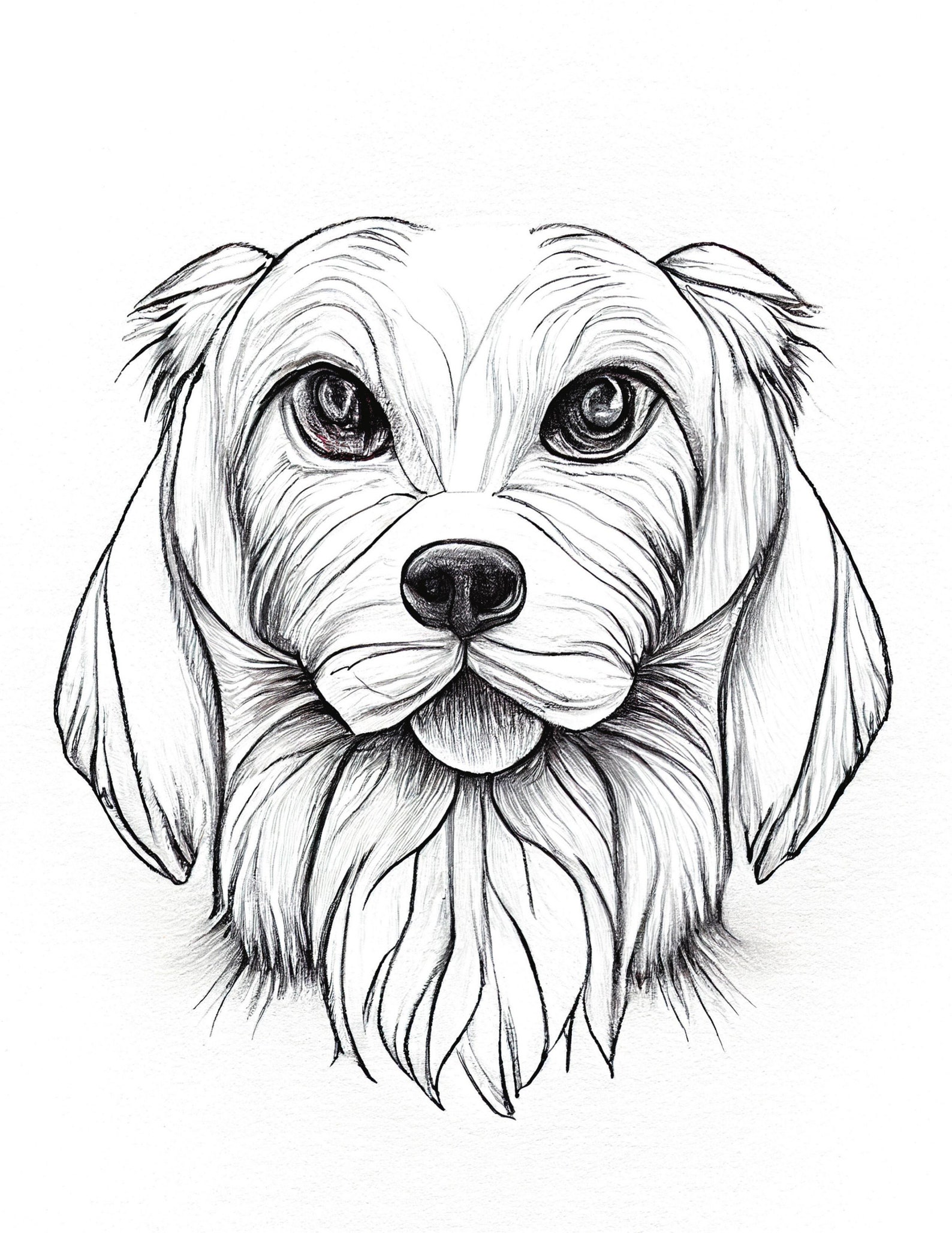 Cute Dogs Colouring Pages - Big Bundle of 10 Images to Print and Colour. Easy Download and Keep ...