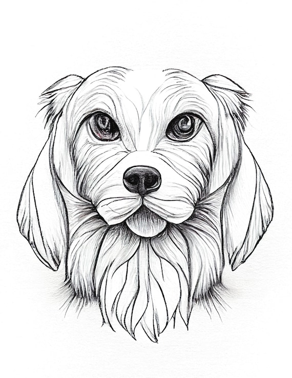 Dibujos De Perros Lindos Para Dibujar