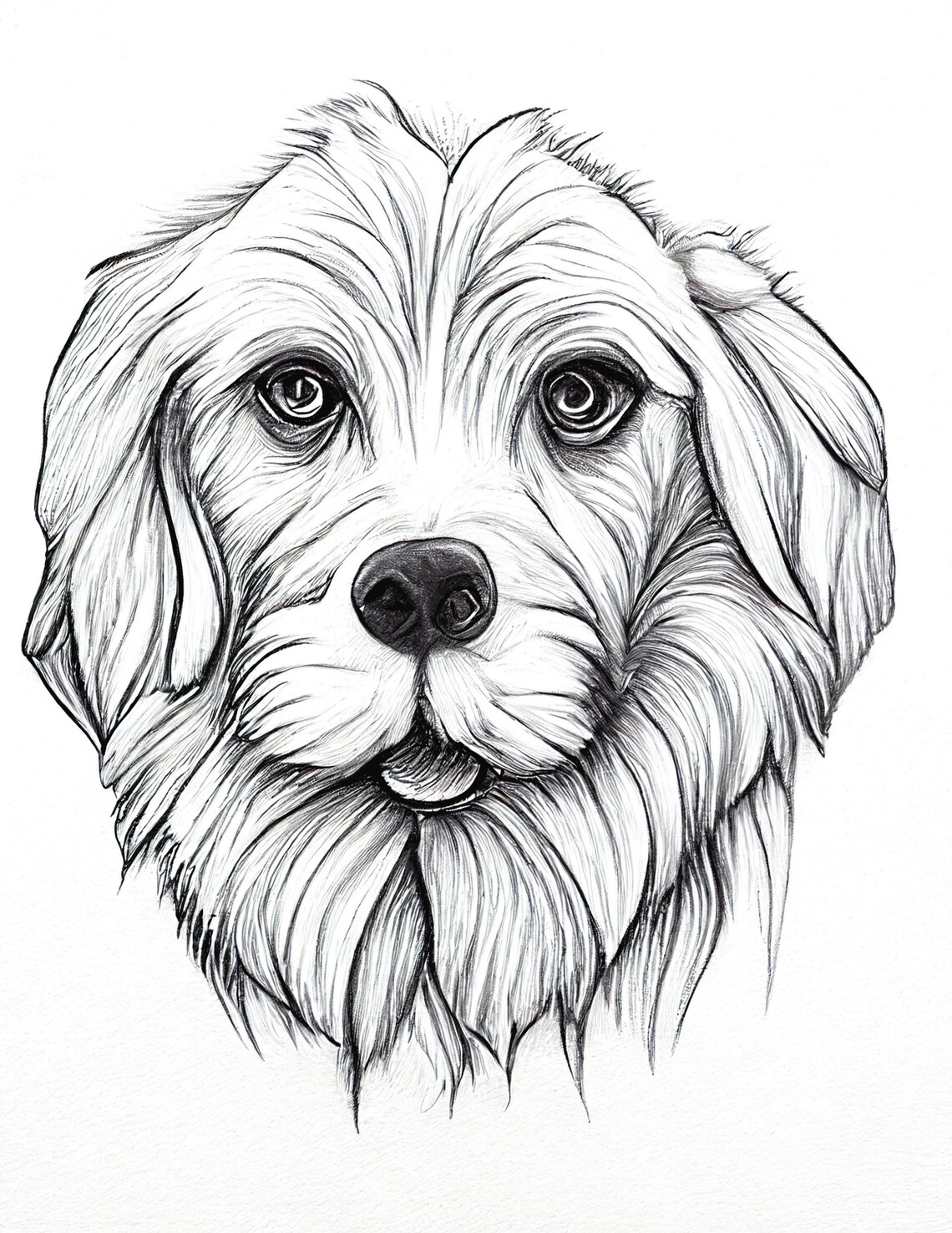 Cute Dogs Colouring Pages - Big Bundle of 10 Images to Print and Colour ...