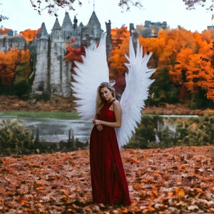 Extra Large White Angel Wings Adult for Photo Shoot Woman and Men ...