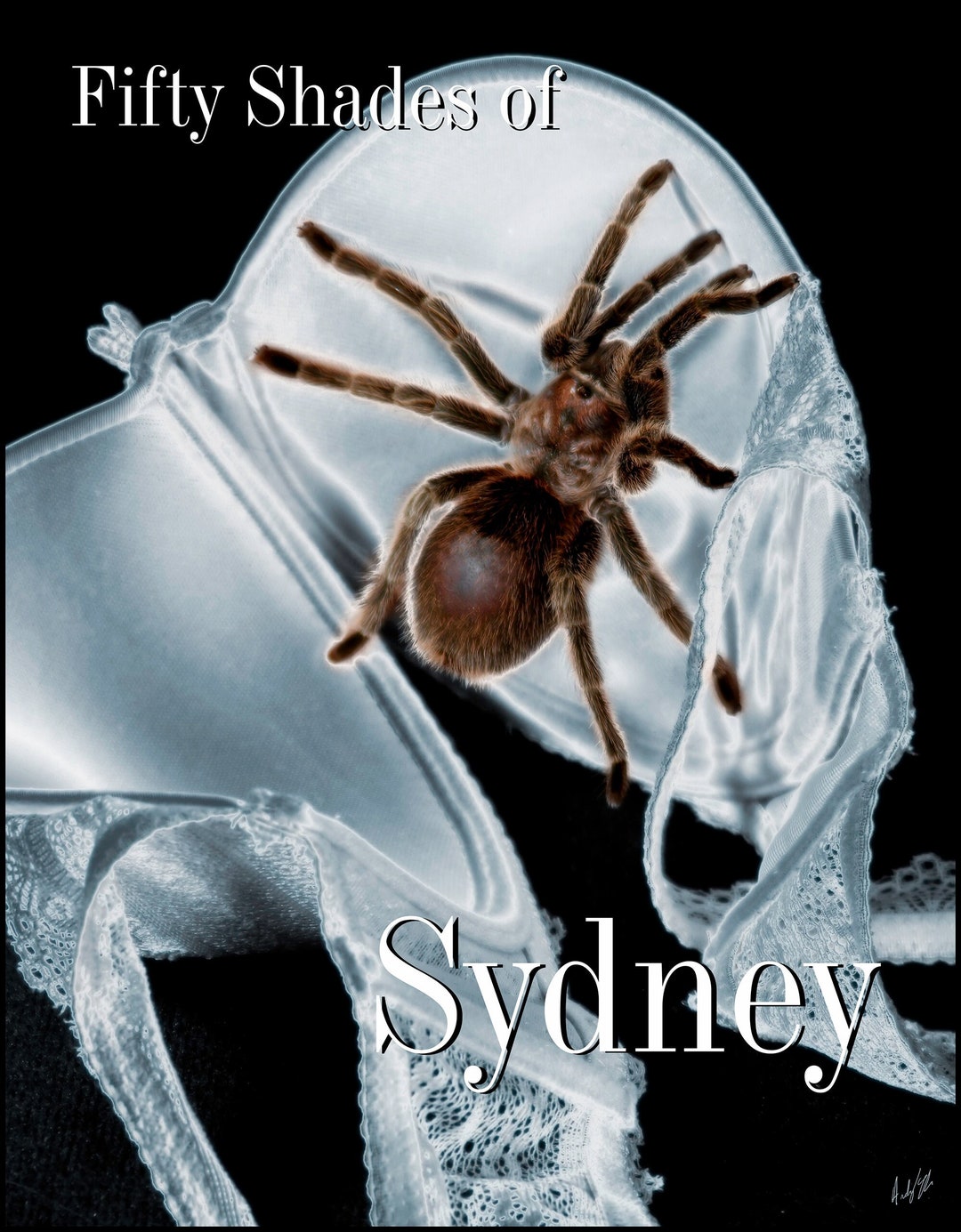 50 Shades of Sydney,photographic Fine Art Print - Etsy