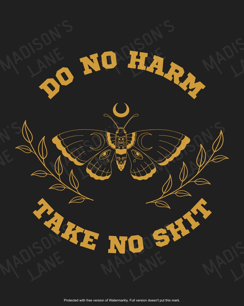 Do No Harm Take No Shit Art Graphic Print - Etsy