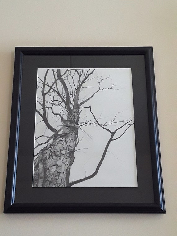 White Oak Tree in Winter Pencil Drawing - Etsy