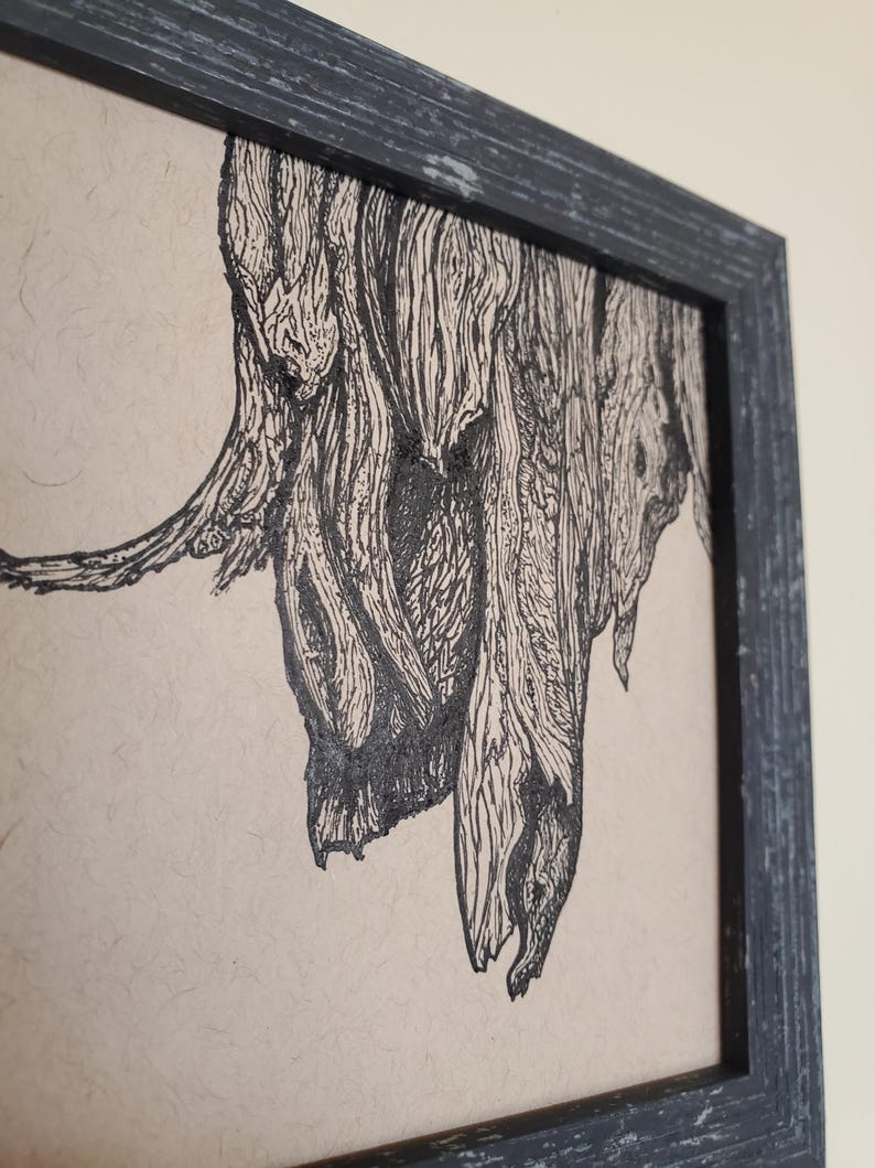 American Elm Tree Bark Original Pen & Ink Drawing - Etsy