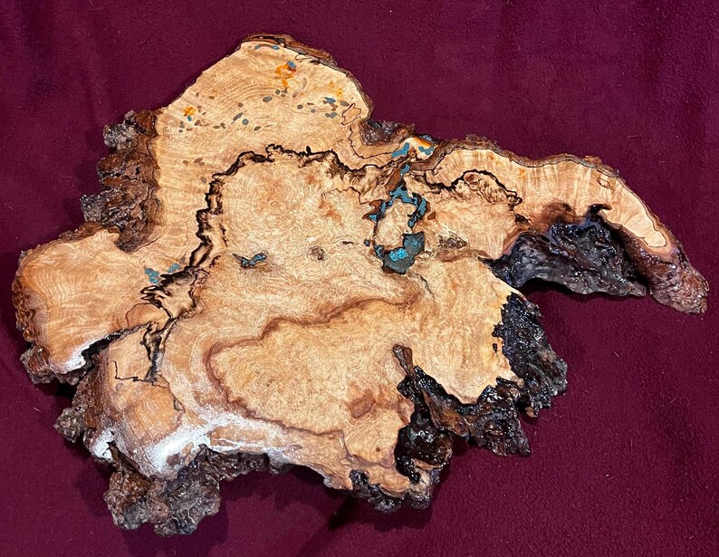 Pin Oak Burl Charcuterie Board With Sedona Turquoise Inlay and Spalting ...