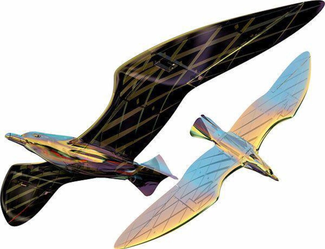 3d Seagull Planet 3D STL Model for 3d Printing and 3d - Etsy