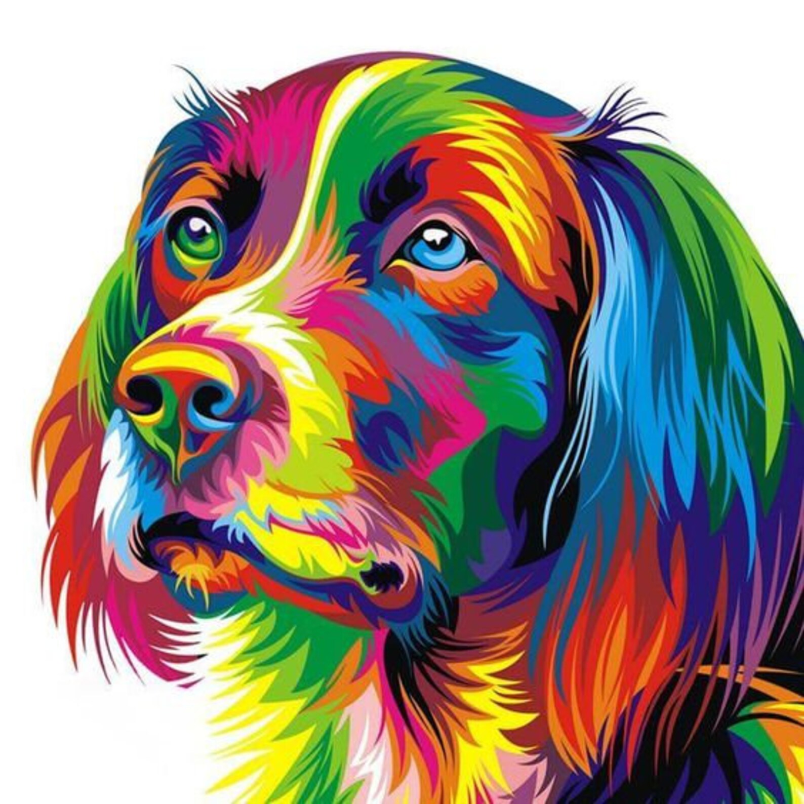 Colourfull Dog - Etsy
