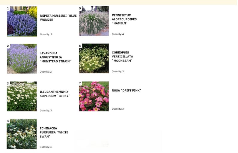 Custom Landscape Design & Plant List | DIY Garden Plan (digital Service ...