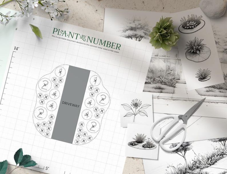 Sun and Surf by Plant by Number. Landscape Design Plan - Etsy