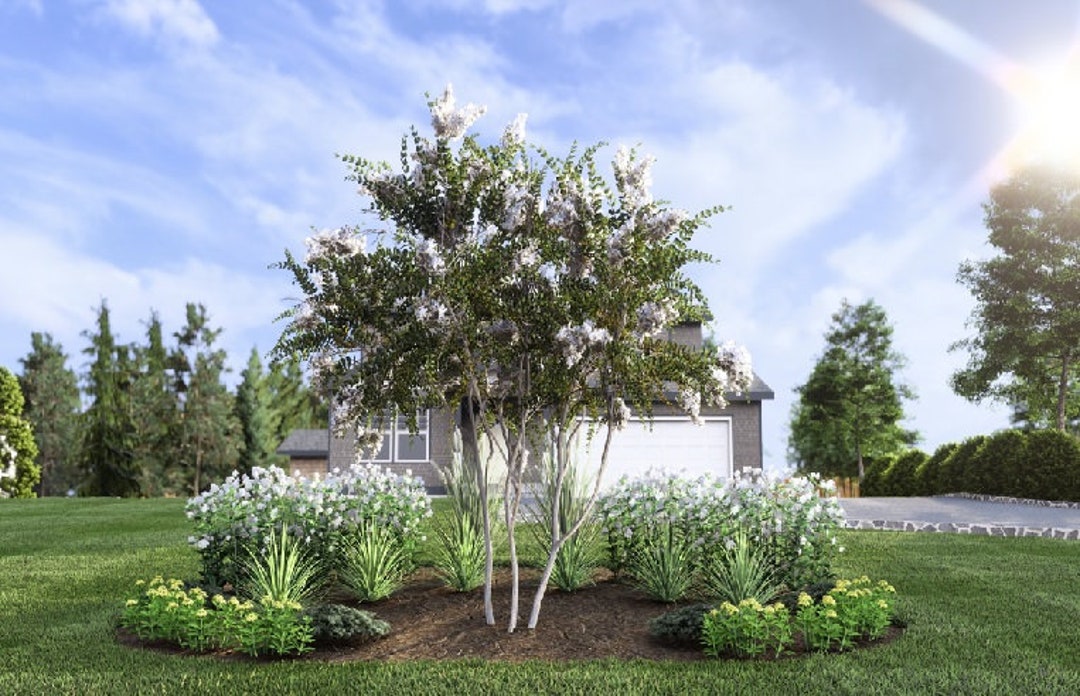 Sun and Surf by Plant by Number. Landscape Design Plan - Etsy