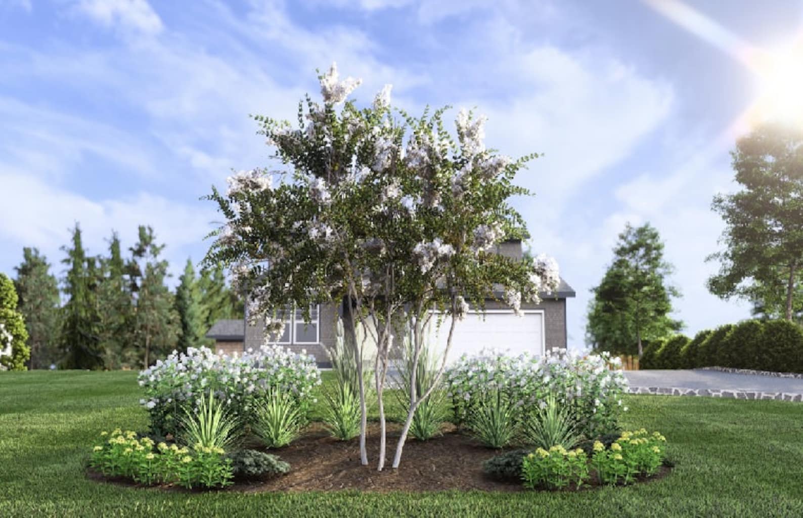 Sun and Surf by Plant by Number. Landscape Design Plan - Etsy