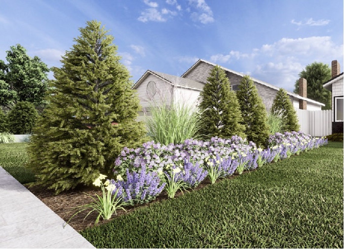 Blissful Boundary 2 by Plant by Number. Landscape Design Plan - Etsy