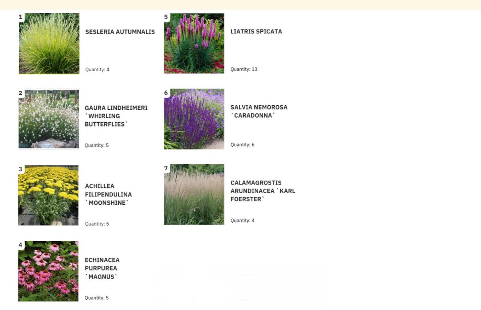 Custom Landscape Design & Plant List | DIY Garden Plan (digital Service ...