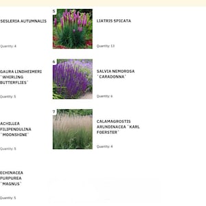 Custom Landscape Design & Plant List | DIY Garden Plan (digital Service ...
