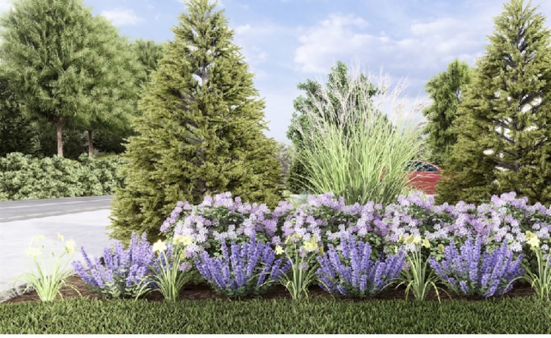 Blissful Boundary 2 by Plant by Number. Landscape Design Plan - Etsy