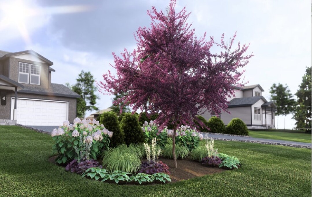 Afternoon Siesta by Plant by Number. Landscape Design Plan, Shade ...