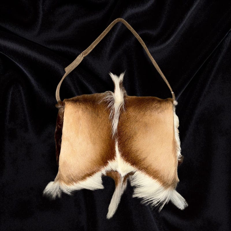 Springbok Hide - Etsy