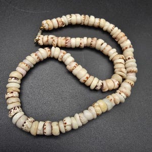 Genuine Puka Shell Necklace Collar 15 Inch Summer Beachy Hawaiian Luau ...