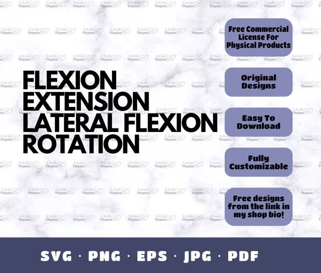 Pilates Yoga Svg Png Spinal Movement Fitness Exercise Svg Png Spine ...