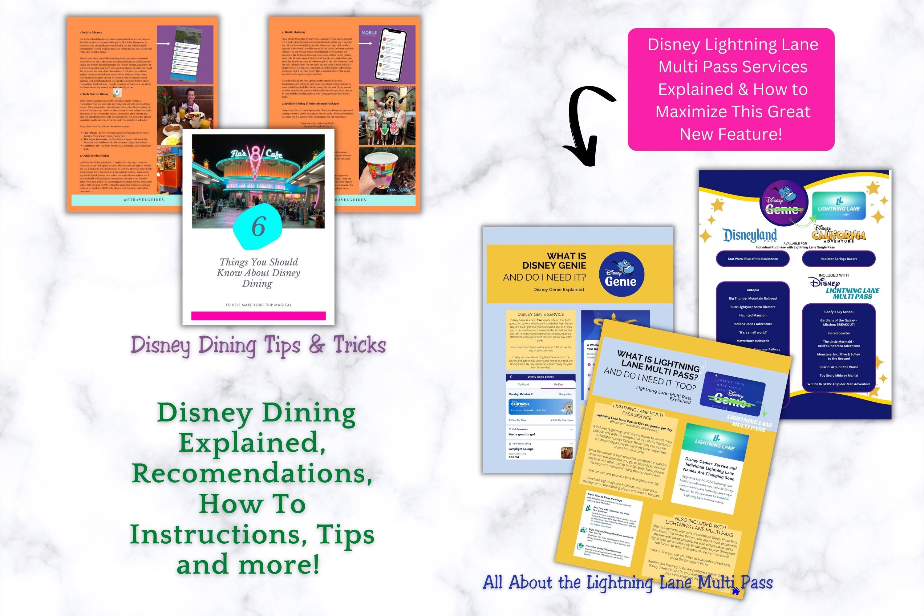The 1 Disneyland Vacation Guide /digital Planner /digital Download ...